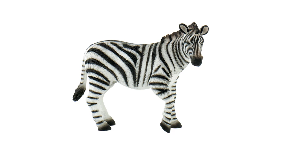 Zebra figura